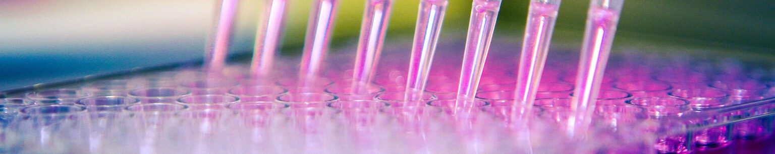 Contact - Rhythm Biosciences